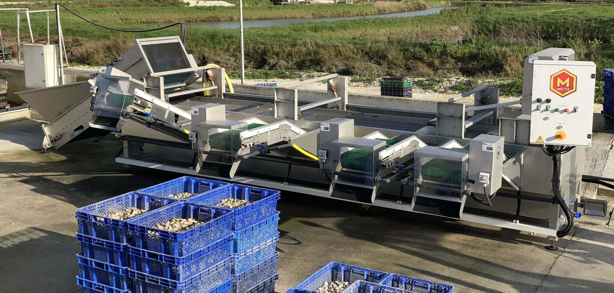 Crible à huîtres en eau / Tamiseuse à huîtres - Mulot SAS